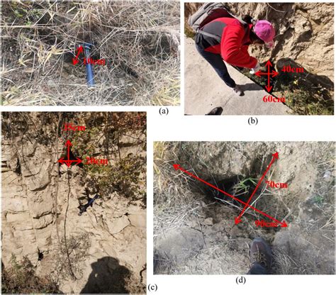Hydrostatic Sedimentary Layer And Underground Cavities A D
