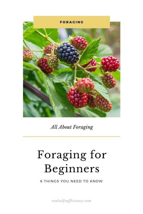 Group Foraging Examples At Brooke Bermingham Blog