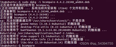 ubuntu 安装bcompare报错e 未找到“nvidia modprobe”的“bcompare 4 4 2 26348 amd64