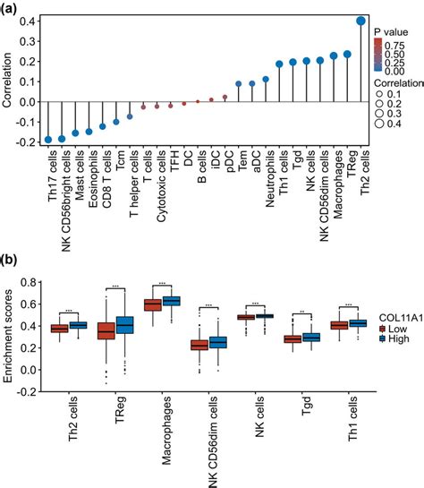 col11a1 correlates with immune infiltration in luad ssgsea algorithm