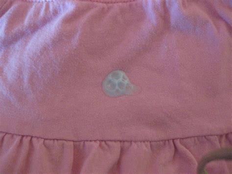 Fru Gal Org The BEST Stain Remover Plus It S Easy And Frugal