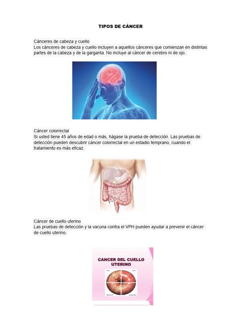 Los Tipos De Cancer Pdf Cáncer Cáncer De Pulmón