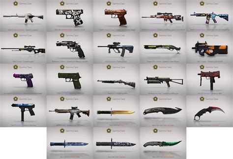 Cs Go Updated Gamma Case