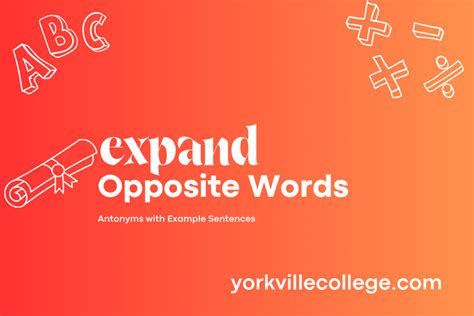 What Is The Opposite Of Expand Example Sentences