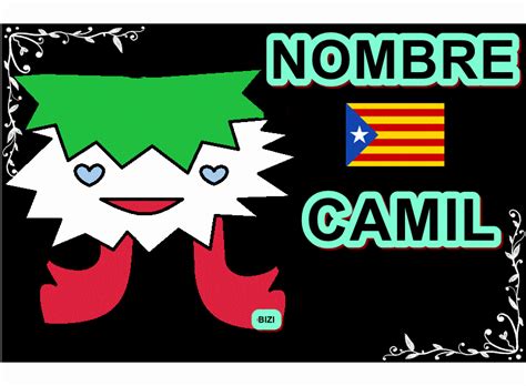 Camil Bizi Te EnseÑa