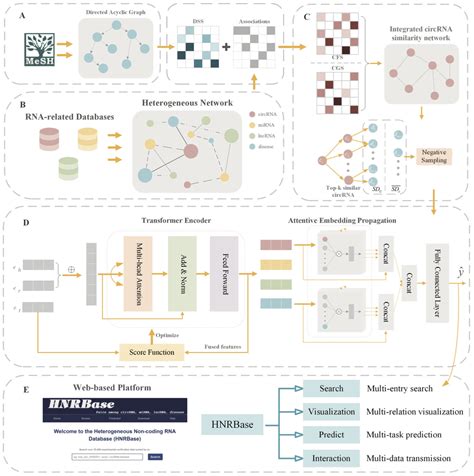 Antisense On Twitter Kgetcda An Efficient Representation Learning