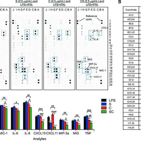 Sc Showed A Broader And Stronger Proinflammatory Inhibition In Cytokine Download Scientific