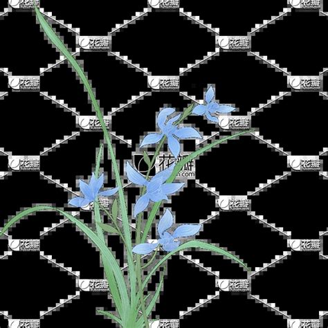 植物系列插画风兰花开花元素素材 花瓣网