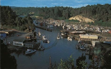 Noyo Harbor Fort Bragg Ca California Postcard