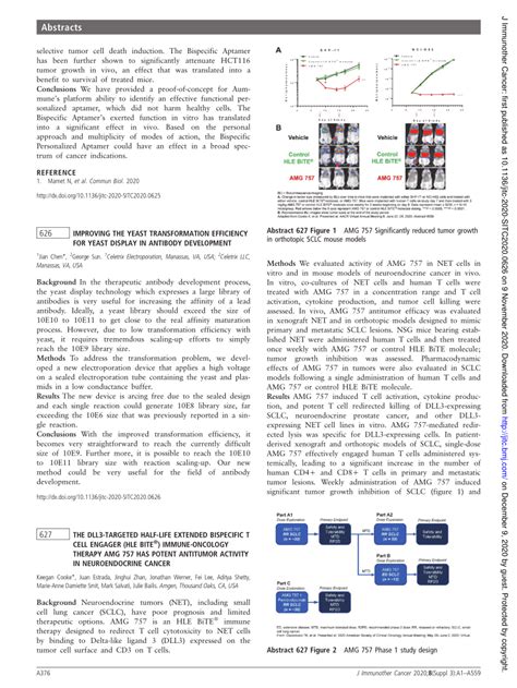 PDF Improving The Yeast Transformation Efficiency For Yeast Display In Antibody Development