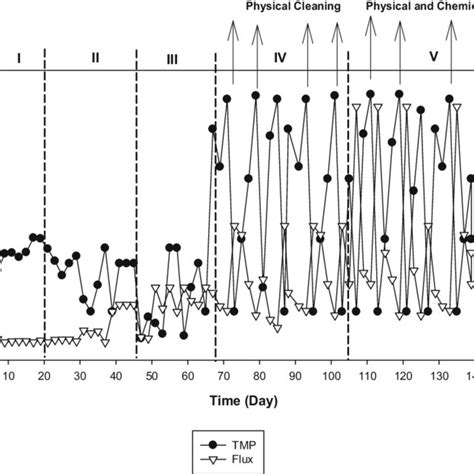 Tmp Flux Profile During Anmbr Operation Download Scientific Diagram