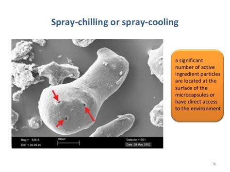 An Overview Of Encapsulation Technologies For Food