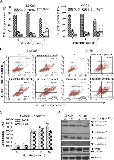 Fatostatin Displays High Anti Tumor Activity In Prostate Cancer By Blocking Srebp Regulated