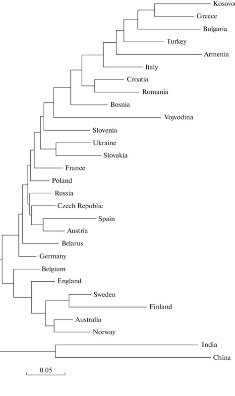dendrogram constructed by the neighbour joining method showing the