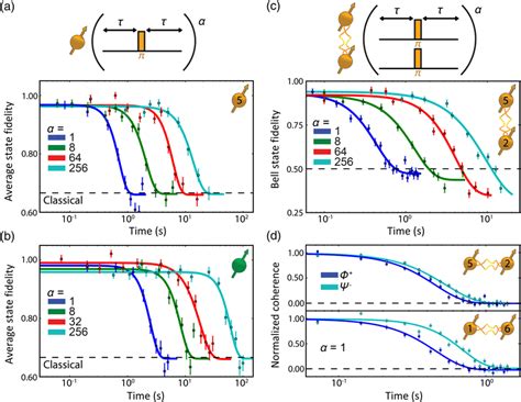 A Dynamical Decoupling For Spin C5 With α ¼ 256 Pulses The Average