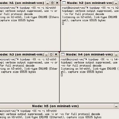 PDF Network Programmability Using POX Controller