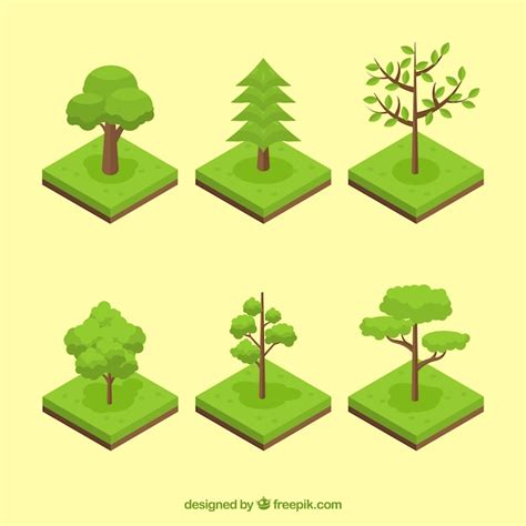 Isometric Tree Vectors Photos And PSD Files Free Download