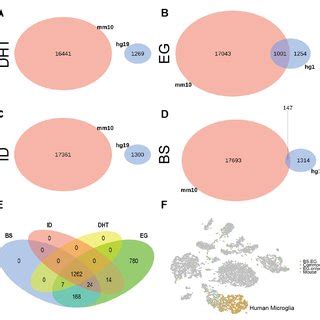 Separation Of Barcodes By Species A D Venn Diagrams Of Overlapping Download Scientific