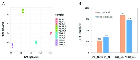 Analysis Of Transcriptome Sequencing Data A Principal Component