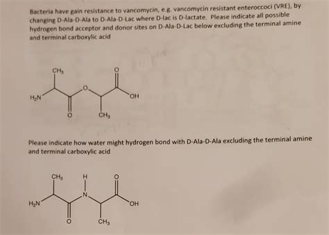 Answered Bacteria Have Gain Resistance To… Bartleby