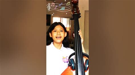 Biggest String Instrument Short Youtube