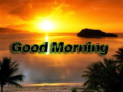 Good Morning Sunrise Wallpapers 4k Hd Backgrounds On Wallpaperbat