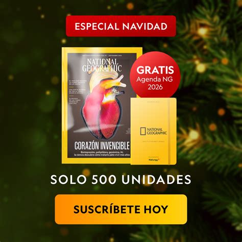 ¿qué Es La Falla De San Andrés Y Por Qué Es Tan Peligrosa