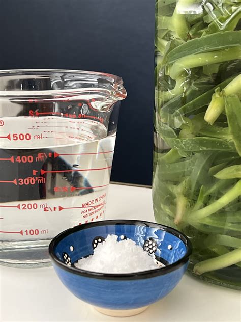 Lacto Fermentation Explained The Gourmantic Garden