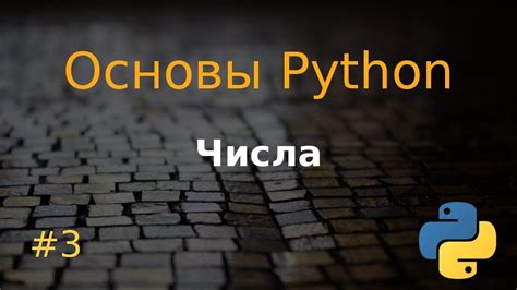 Основы Python 3 числа Youtube