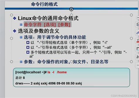 linux基础命令速查：常用操作与环境管理 csdn博客