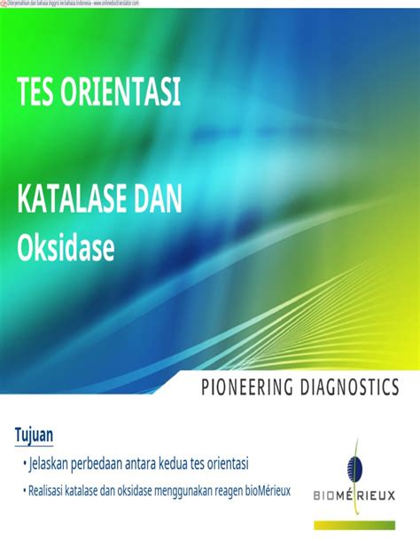 3 1 Bacterial Identification Techniques Pdf