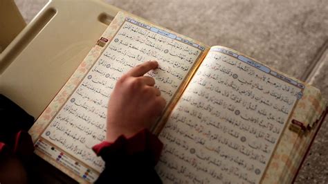 Gender Equality In Islam To The Contrary