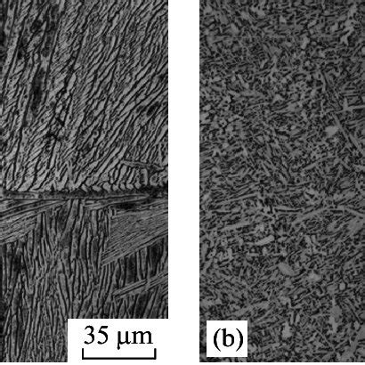 a Coarse lamellar and b intragranular fine bulk twoophase α β Download Scientific