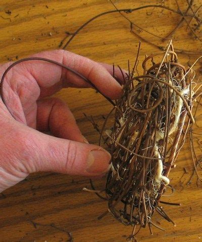 Making A Bird Nest Step Bird Nest Bird Nest Craft Bird