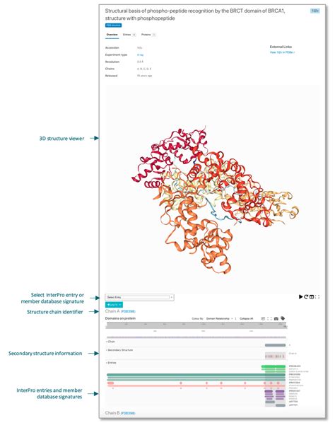 Searching With A Protein Structure Identifier Interpro