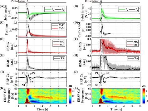 Figure 1 From Long Lasting Event Related Beta Synchronization And Theta