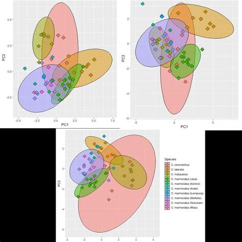 Principal Component Analysis Biplot Of Morphometric Variation In Download Scientific Diagram
