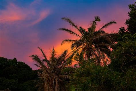 Сезон на Пхукете когда ехать отдыхать погода по месяцам сезон дождей о Таиланд О Таиланде