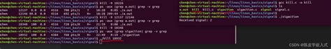 向进程发送信号和杀死进程——kill Raise函数（十二）kill函数 Csdn博客