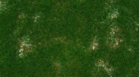 Dirt Grass Texture Seamless Plaintextures Texturesgroundgrassdry