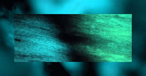 Lg X Fosters And Partners On Behance