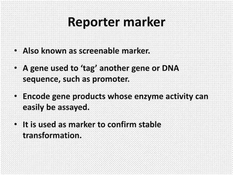 Presentation On Marker Genes Pptx
