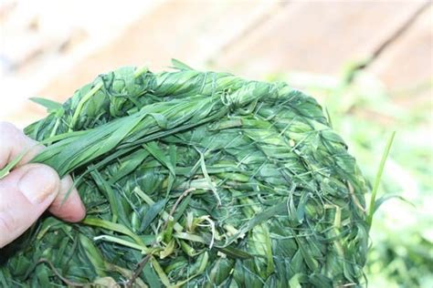 Grass Weaving Bowl And Lid The Creative Mom