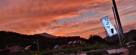 철원신문사 쓰레기투기 현장 주민의 힘으로 탈바꿈 주민들 만족감 높아졌다는 평가 캡션1 쓰레기 불법 투기가 빈번해 각종