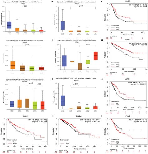 The Clinical Features Of LRRC3B In Different Cancers A F Boxplot Download Scientific Diagram