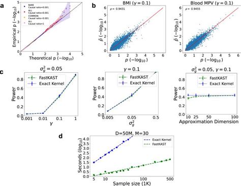Andrew Nelson Phd On Linkedin Fast Kernel Based Association Testing
