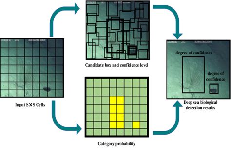 Figure From Deep Sea Biological Detection Method Based On Improved YOLOv N Semantic Scholar