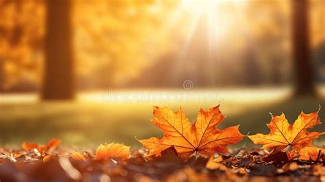 Autumn Leaves On The Sun And Blurred Trees For Fall Background Generative Ai Stock Illustration