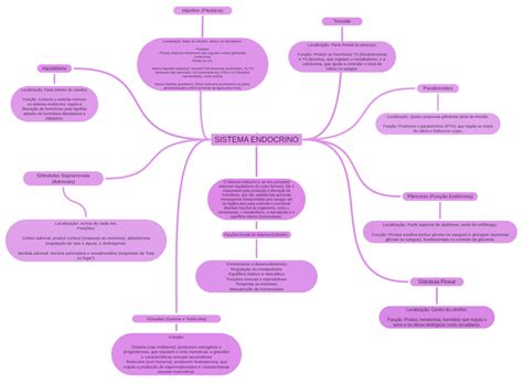 Sistema Endocrino Coggle Diagram