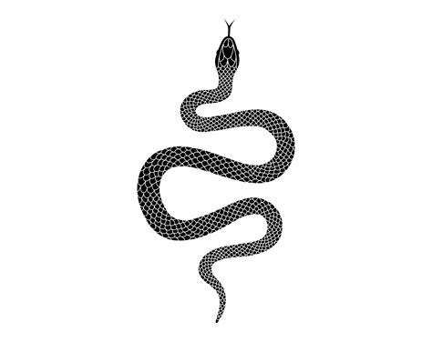 Snake Svg Reptile Svg Cut File Snake Cricut Svg Python Svg Silhouette Svg Hand Drawn